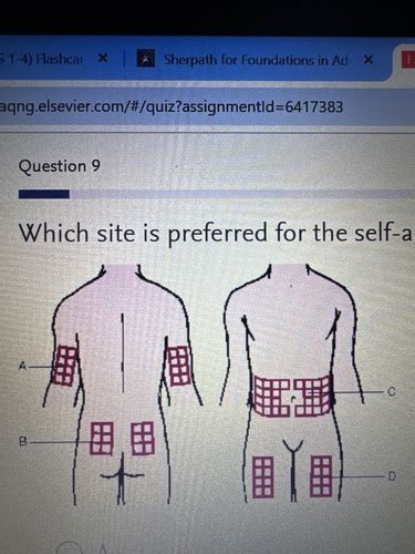 Nurs 201 Weeks 1 4 Flashcards Quizlet