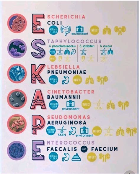 Microbiology Medicaltechnologist Boardexam Smltsa Lindy Motaung