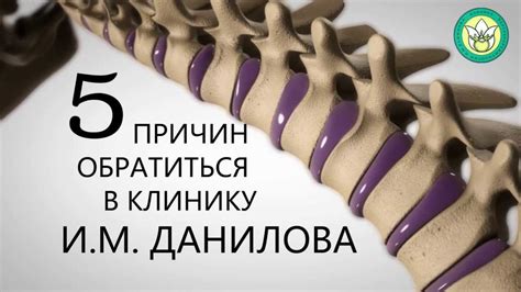 Устранение грыжи диска без операции. Клиника И. М. Данилова - YouTube