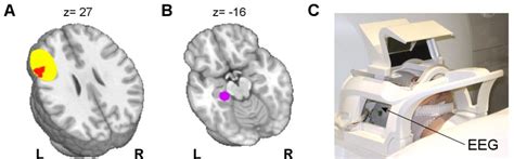 Figure 1 From Validation Of Real Time Fmri Neurofeedback Procedure For Cognitive Training Using