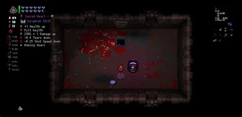 Weakest Chaos Enjoyer Rbindingofisaac