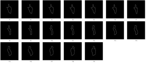Contour Image Stored By Particle Boundary Points Download Scientific