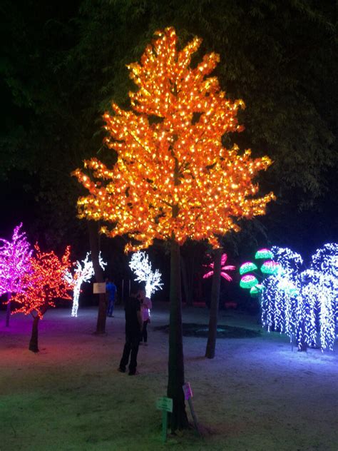 12 Outdoor Christmas Lights Styles For Trees Youll Want To Try This Year
