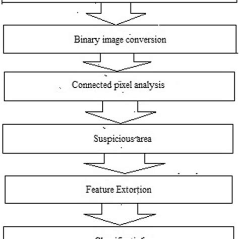 Proposed Computer Aided Detection Scheme Download Scientific Diagram