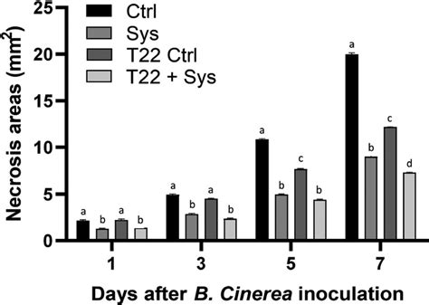 T Afroharzianum And Sys Reduce B Cinerea Virulence On Tomato Plants Download Scientific