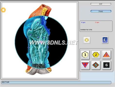 Vector Nls Device 8d Nls 8d Lris 8d Nls Health Analyzer 8d Nls