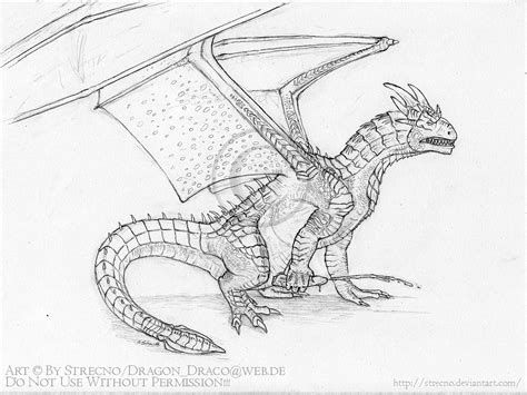 Rule 34 Cum Draco Dragon Dragonheart Feral Male Male Only Masturbation Monochrome Nude Penis