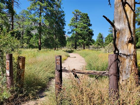 Coconino National Forest Hiking Trails