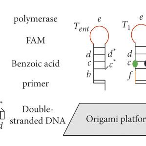 Materials Needed To Build The NAND Gate Download Scientific Diagram
