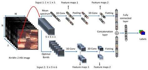 Detection Of Red Meat Adulteration By Deep Spectral Spatial Features In