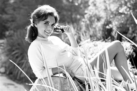 Actress Dawn Wells 60 Photos Moonagedaydreamfilm