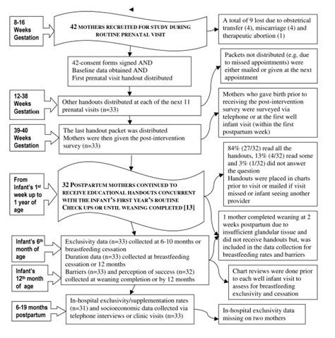 Flow Chart Detailing The Methods And Sequence Of Events Surrounding The Download Scientific