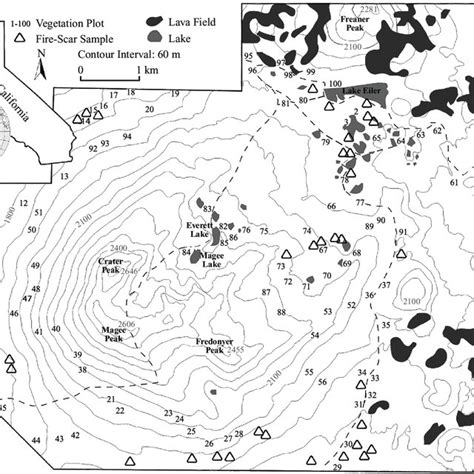 Patterns Of Species Replacement In Forest Structural Groups Vectors
