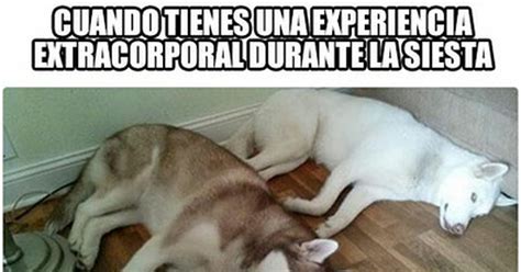 Cuánto Cabrón Algunos Creen Caerse Yo Me Salgo Del Todo