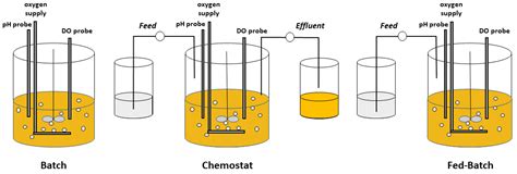 nutrient limited operational strategies for the microbial production of