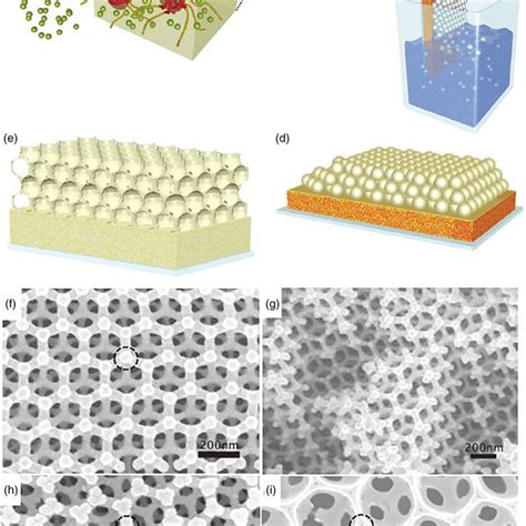 schematic of double layer assembly a a solution of pi‐b‐peo copolymer