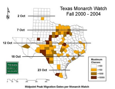 Map Of Fall Monarch Migration Through Texas