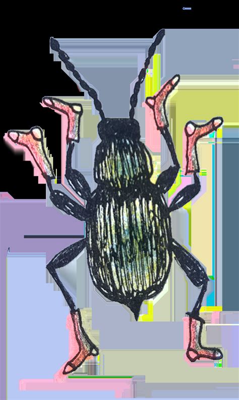 About — Ruby Carter