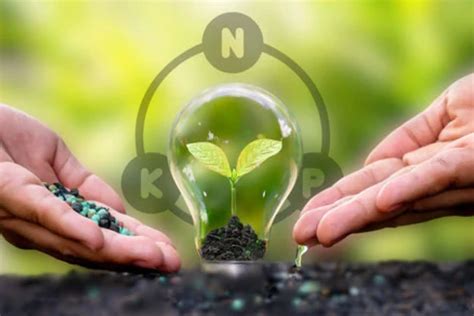 Best Of 2025 Agriculture Fertilizer Ratio Calculator