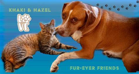 TW Pornstars Top Pornstar Videos And Pics Page 949