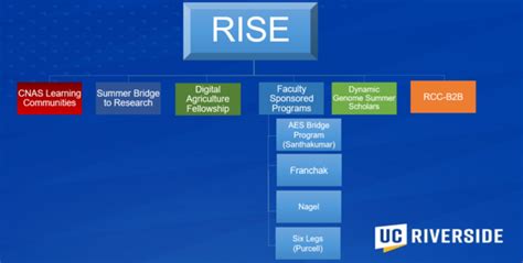 2023 Rise Program And Affiliates Overview Research In Science