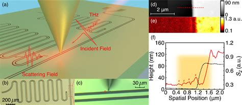 Figure 1 From Terahertz Nanospectroscopy Of Plasmon Polaritons For The Evaluation Of Doping In