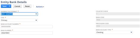 Netsuite Importing Bank Details When Using Electronic Payments Rsm