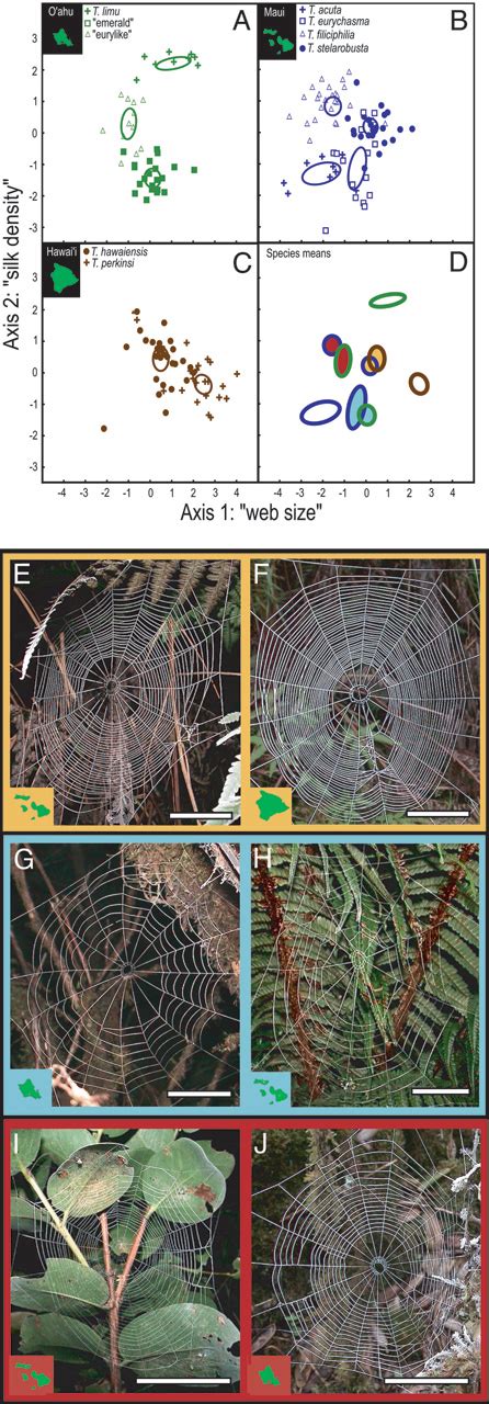 Convergent Evolution Of Behavior In An Adaptive Radiation Of Hawaiian