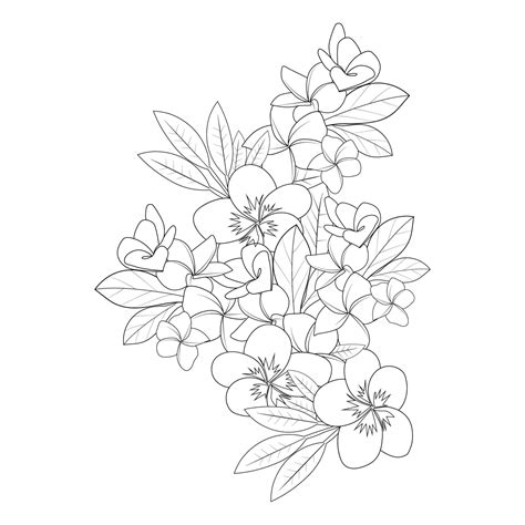 Plumeria Flower Line Art Sketch With Outline Stroke Of Doodle Coloring