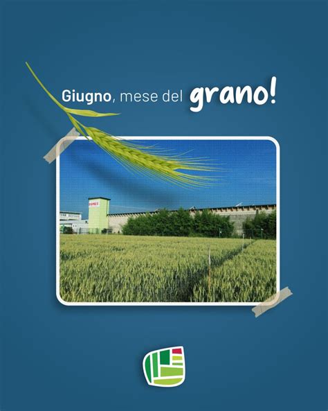Fomet Fometspa Agricoltura Agricolture Fertilizzanti Fertilizers