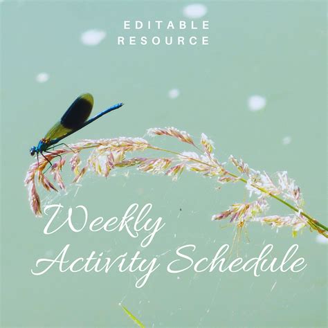 Weekly Blank Activity Schedule Fillable Worksheet Simply Psychotherapy