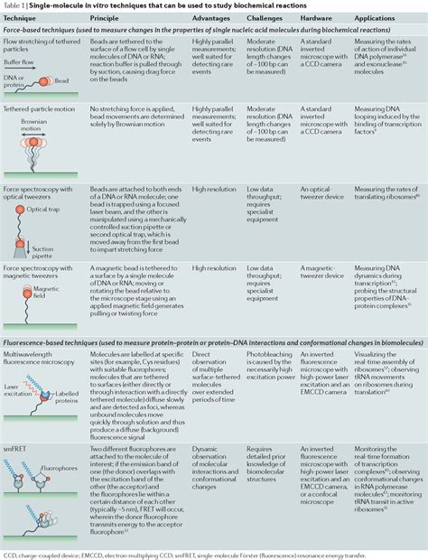 Dna Replication Transcription And Translation Chart