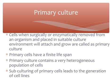Cell Culture Introduction Ppt Biotech And Biomedical Industry Industries