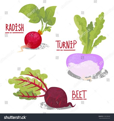 Difference Between Turnips And Beets At Lynda Higgins Blog
