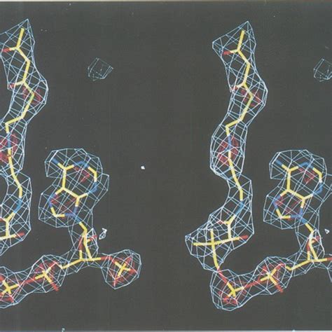The Region Of The Omit F F A Electron Density Map Calculated Download Scientific Diagram