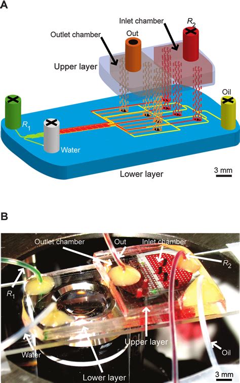 3 D View Of The Microfluidic Device Demonstrating The Parallel Download Scientific Diagram