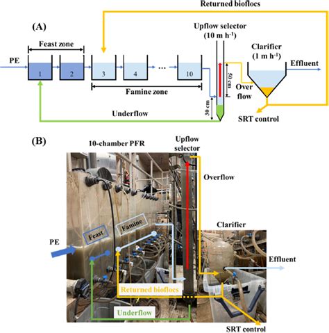 A Schematic And B Photographic Illustration Of The 10 Chamber Plug Download Scientific