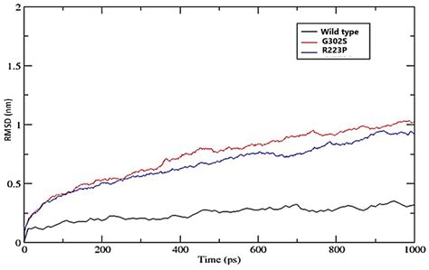 Exploring The Structural And Functional Consequences Of Deleterious Missense Nonsynonymous Snps