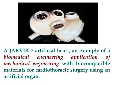 Biomedical Computing Ppt Biomedical Computing Ppt