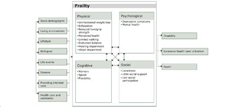 Adapted Version Of The Integral Conceptual Model Of Frailty Based On