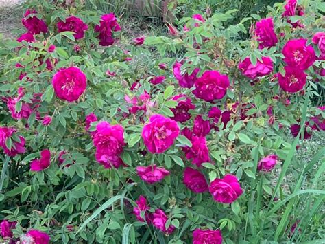 Өдрийг ая тухтай Ногоон Даланзадгад Бидний ирээдүй Facebook