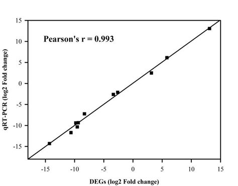 correlation analysis of qrt pcr and differentially expressed gene deg