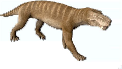 Gorgonopsid Dinosaur Wiki Fandom