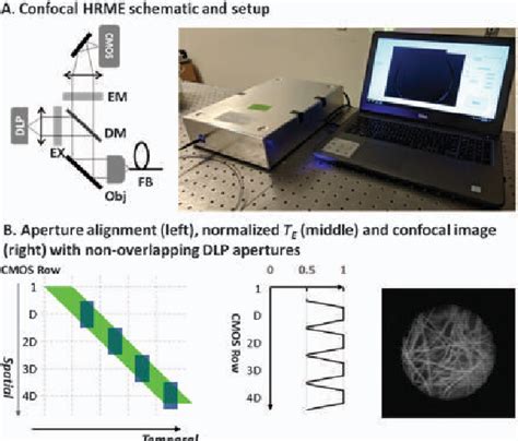 Figure 1 From Improving Nuclear Morphometry Imaging With Real Time And