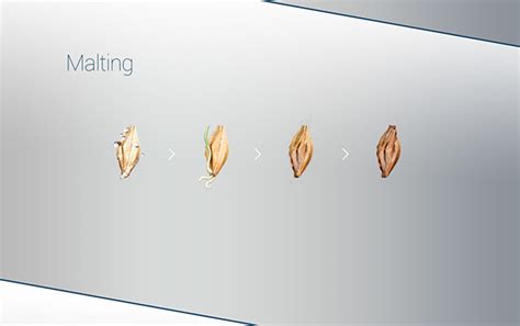 Brewing Infographics Behance