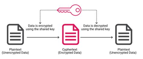 What Is Data Encryption Everything You Need To Know X Phy