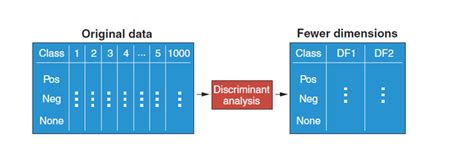 R机器学习：分类算法之判别分析ldaqda的原理与实现使用qda函数需要进行数据标准化吗 Csdn博客