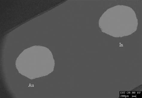 Sem Picture Of Au And In Spot On Cdte Cdznte Samples Download Scientific Diagram