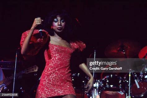 2 218 June Pointer Photos And High Res Pictures Getty Images