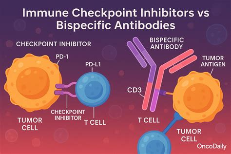 Bispecific Antibodies Vs Immune Checkpoint Inhibitors In Oncology